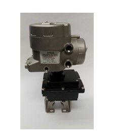 D3E Explosion Proof Positioner mounted on PMV F5 - Cancoppas